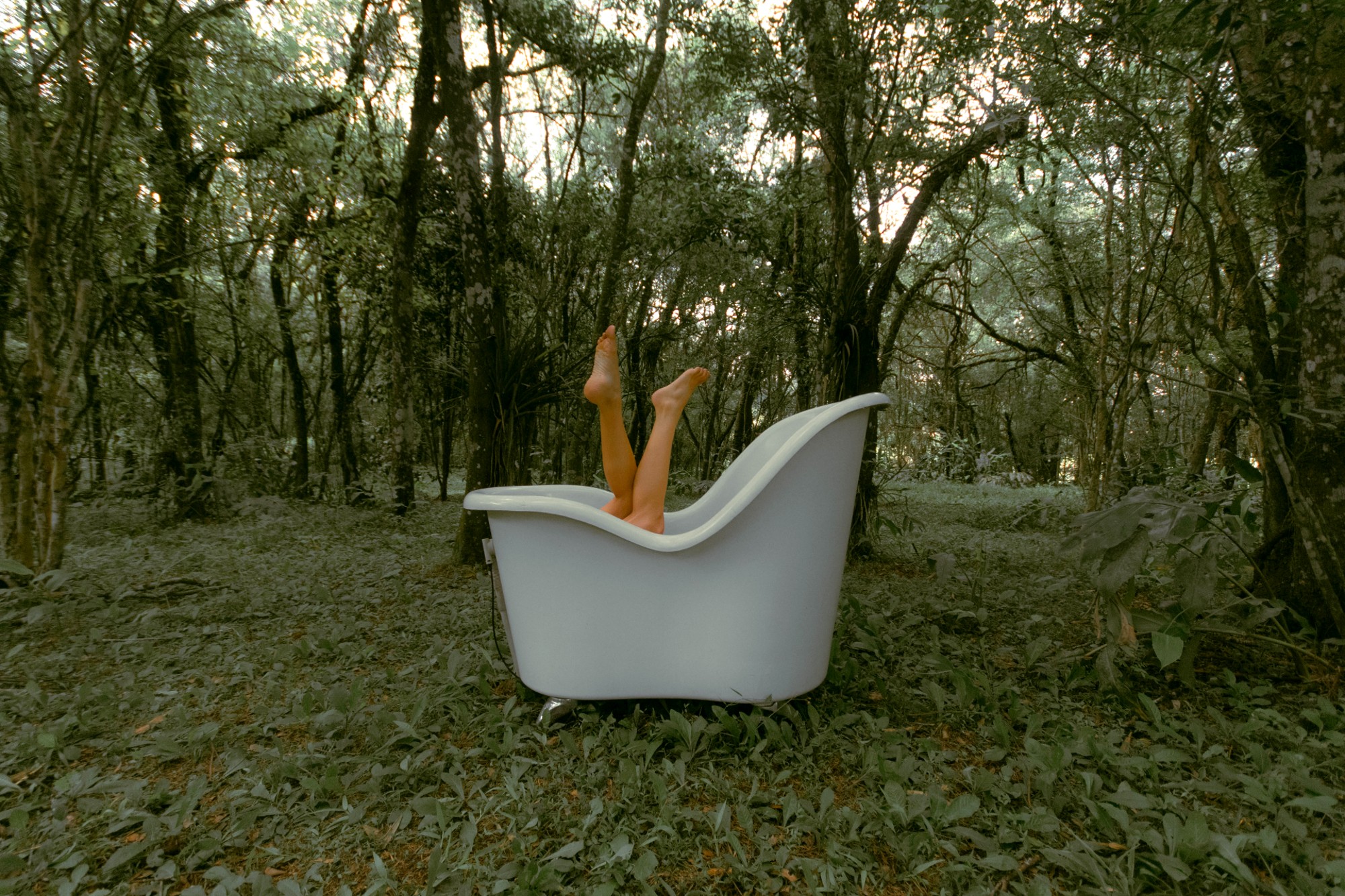 "Forest bathing" is scientifically proven to improve your health ...